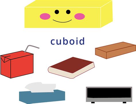 Cuboid In Real Life Cuboid In Real Life