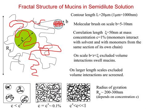 Lecture Dynamics Of Polymer Solutions And Melts Pdf Chemistry Science