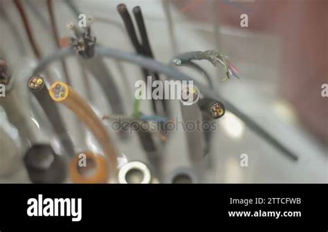 Installation Of Cable Sections Wires On The Stand At The Exhibition