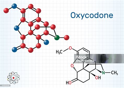 옥시 코돈 분자 그것은 통증의 치료에 사용되는 반합성 오피오이드 약물이다 구조 화학 공식 및 분자 모델 케이지에 있는 종이 시트