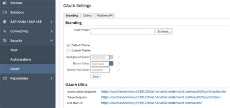 How To Obtain An Oauth 2 0 Token In Sap Cloud Platform Its Full Of