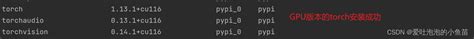 最新！！！！【windows11】pytorch安装 Gpu版本cuda116对应的pytorch版本 Csdn博客