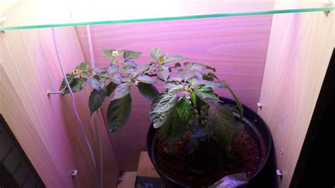 Is There A Way To View Files In Azure Static Web App Stack Overflow