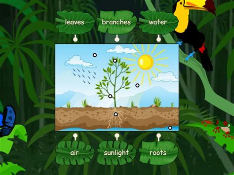 Tree Labelling Labelled Diagram