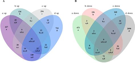 Comparative Analysis Of Differentially Expressed Mrnas In Sars Cov 2 Download Scientific