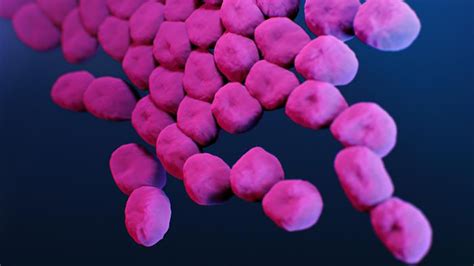 About Acinetobacter Acinetobacter Cdc