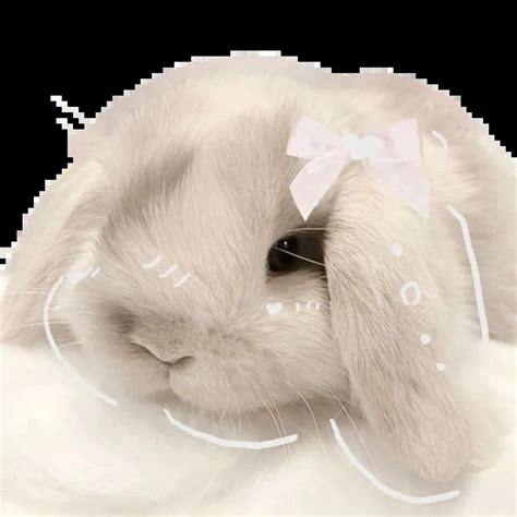 Your Lovable Husband Alexei Sergeyevich Orlov