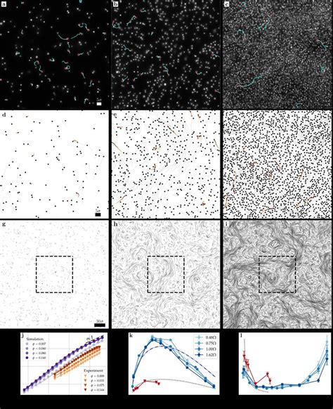Collective Dynamics Of Hydrodynamically Interacting Rotors A C Download Scientific Diagram