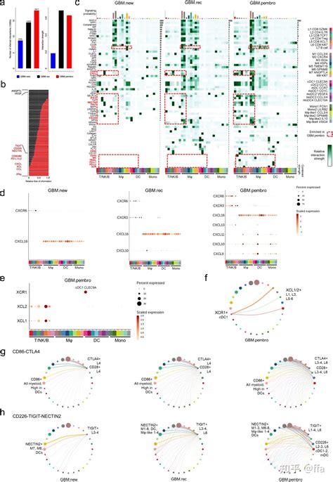人类细胞图谱计划与单细胞测序63——cellchat应用总结（下） 知乎