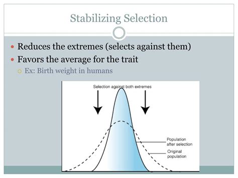 PPT How Natural Selection Works PowerPoint Presentation Free Download ID