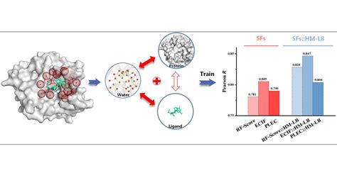 Systematic Improvement Of The Performance Of Machine Learning Scoring Functions By Incorporating