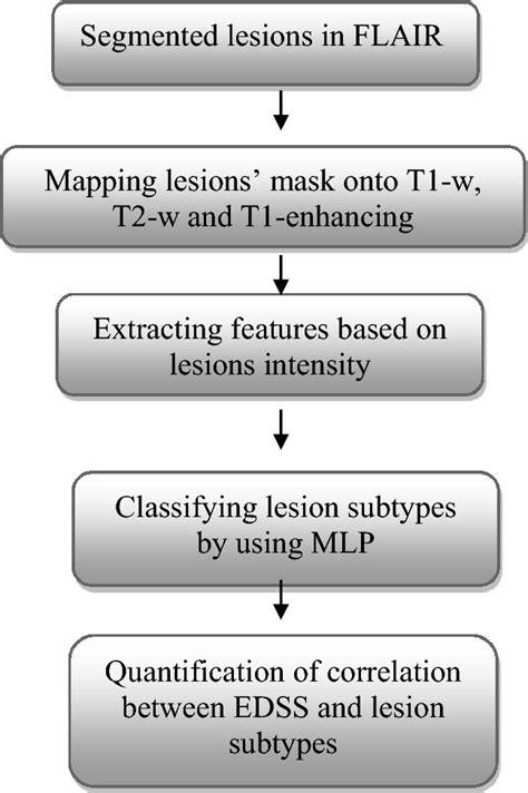 Classification Of Different Lesion Subtypes Download Scientific Diagram