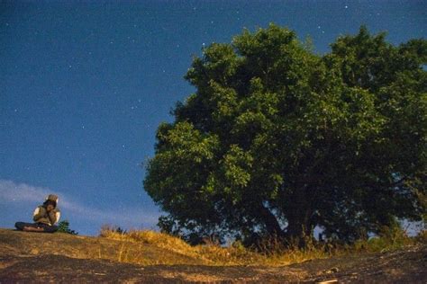 Basab Dey Bhowmick On Linkedin Stary Night