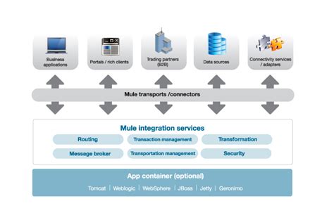 Mule Esb Reviews Prices And Ratings Getapp Canada 2024