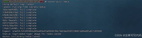 Docker 安装redis镜像，详细保姆级教程 Csdn博客
