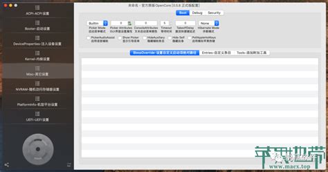 oc引导开机直接进 黑苹果 oc 编辑器 opencore configuration 操作详解 weixin 39604897的博客 csdn博客