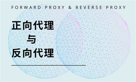 正反向代理服务有什么作用,以及它们有哪些区别? 不念博客 正反向代理服务有什么作用,以及它们有哪些区别? 不念博客