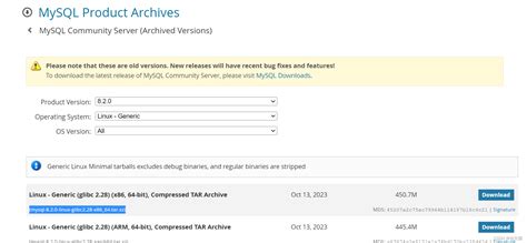 内网搭建mysql8 0并搭建主从复制详细教程！！！ mysql8 0主从复制搭建生产 csdn博客