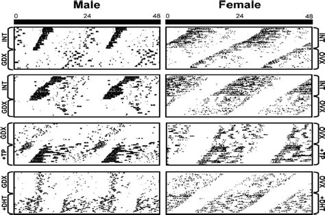 Sex Differences In Circadian Timing Systems Implications For Disease Pmc
