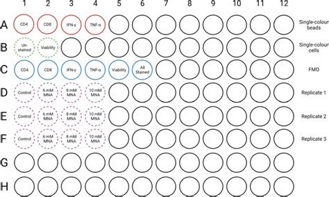 Flow Cytometry Staining Plate Control Includes Single Color Control Download Scientific