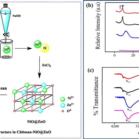 A Schematic Representation Of Synthesis Of Chitosan Niozno Download Scientific Diagram