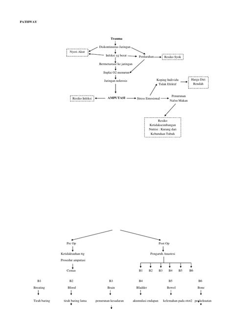 Pathway Menjelaskan Komplikasi Pasca Amputasi Pdf