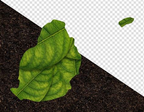 Page 4 Ground Leaves Psd 11000 High Quality Free Psd Templates For