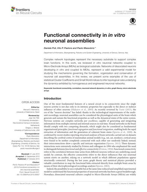 Pdf Functional Connectivity In In Vitro Neuronal Assemblies
