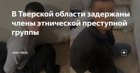 В Тверской области задержаны члены этнической преступной группы АиФ Тверь Дзен