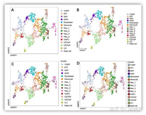 Nature作图也出错：单细胞umap Tsne图的ggplot做法与修饰 知乎