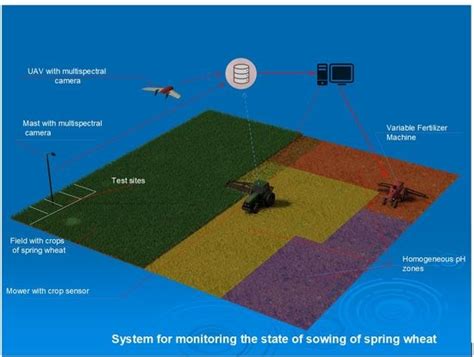 Remote Sensing Free Full Text Estimation Of Parameters Of Biomass State Of Sowing Spring Wheat