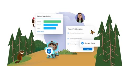 Salesforce Security Best Practices