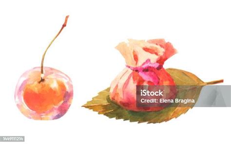 수채화 그림 사쿠라모치와 차 천 포장과 와가시 체리 흰색 배경에 격리된 일본 과자 0명에 대한 스톡 벡터 아트 및 기타 이미지 0명 Experimental