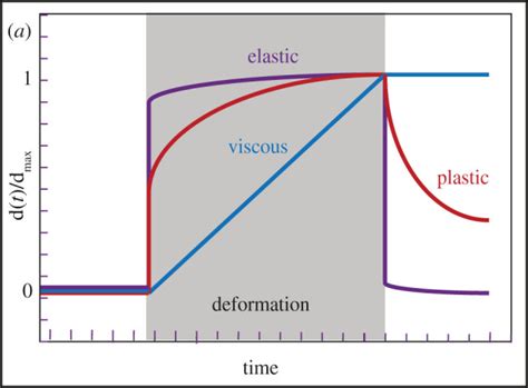 The Plastic Cell Mechanical Deformation Of Cells And Tissues PMC