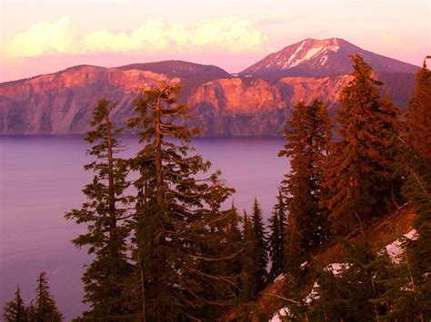 Берег озера Основной цвет обоев Ивово коричневый