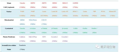 上海懿贝瑞生物：你还在选错内参吗？ 知乎