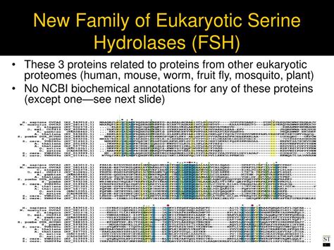 Ppt Structure Based Analysis Of Protein Function Powerpoint Presentation Id 1123003