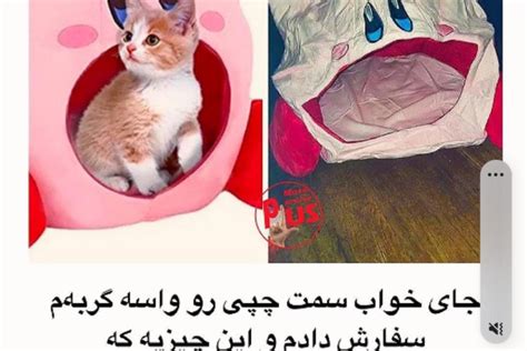 خوراکی های کوچیک تستچی