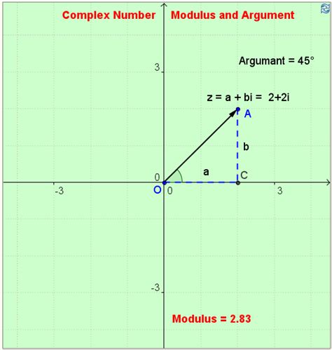 48 Different Types Of Functions And Their Graphs Complete List Artofit
