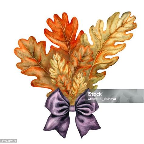 수확 파티 디자인 할로윈 추수 감사절 생일 카드 초대장을 위한 활과 함께 가을 참나무 잎 꽃다발의 수채화 손으로 그린 그림 흰색