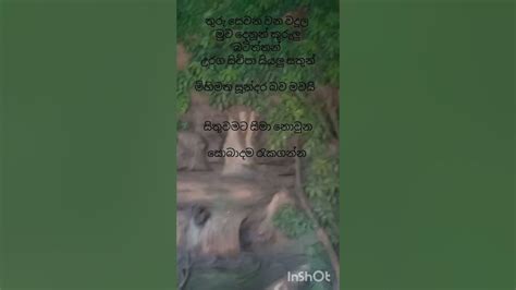 අපා දෙපා සිව්පා ඇත්තෝ Love Srilanka Motivation 22 Youtube