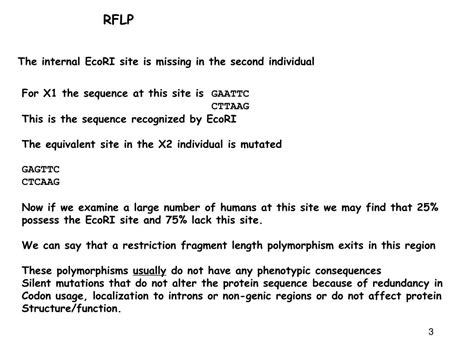 PPT RFLP Analysis PowerPoint Presentation Free Download ID 681395