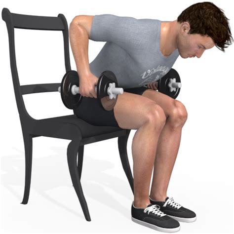 Dumbbells Bent Over Row Seated Dbs Video Exercise Guide