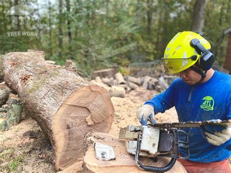 Guide On Types Of Tree Pruning ATL Tree Work