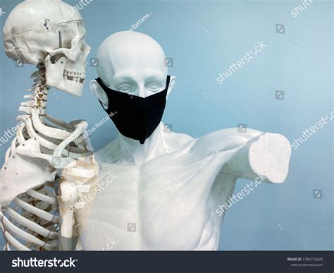 Blurred Overlapping Symbols Skeleton Human Body Stock Photo Shutterstock