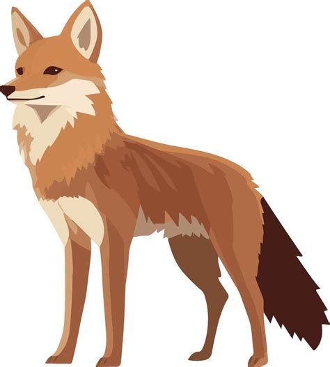 Cute Simple Dhole Clipart 52238711 Vector Art At Vecteezy