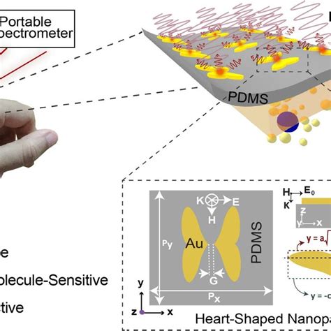 Concept Illustration Of The Proposed Plasmonic Sers Sensor That Can Be