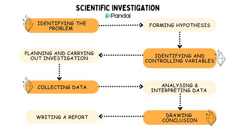 Scientific Investigation In Biology