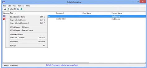 Bulletspassview Download Softpedia