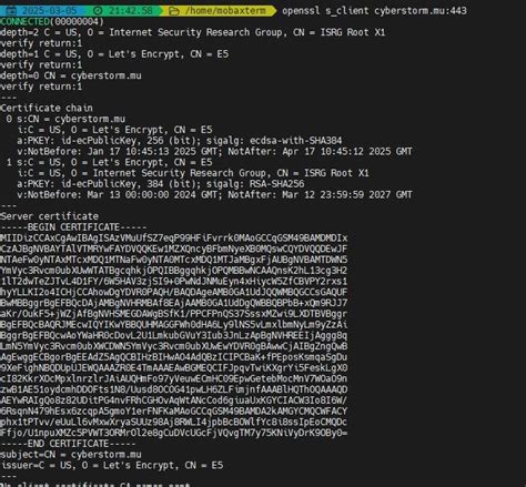 connecting to a server using openssl